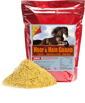 New Customer - 4lb Hoof & Hair Guard - Horse Guard