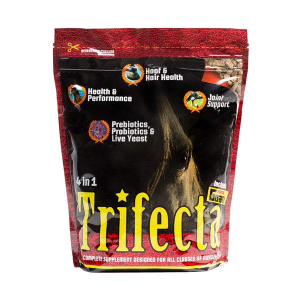 Trifecta - Horse Guard